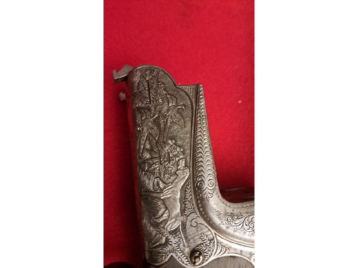 Aya de luxe 🥇 Conpactum